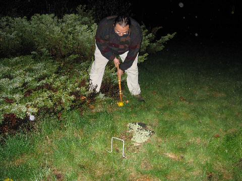 Connecticut eXtreme Croquet Society Template